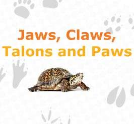 The Y in Central Maryland | For a Better Us